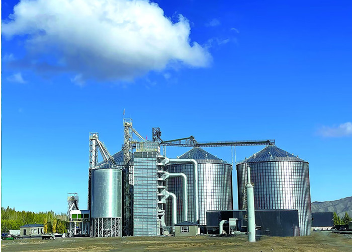 Steam Fuel Rice Dryer 15T/D-1200T/D For Optimal Rice Drying And Processing